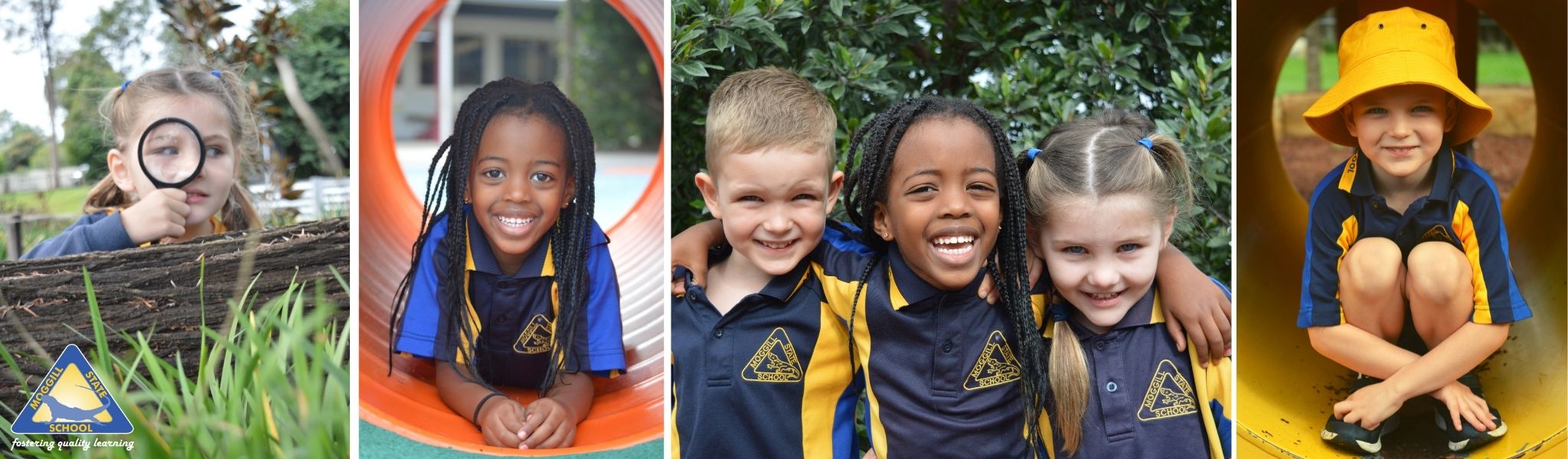 Moggill State School